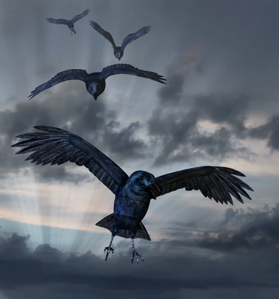 ᐈ Crows flying stock images, Royalty Free crow flying pictures ...