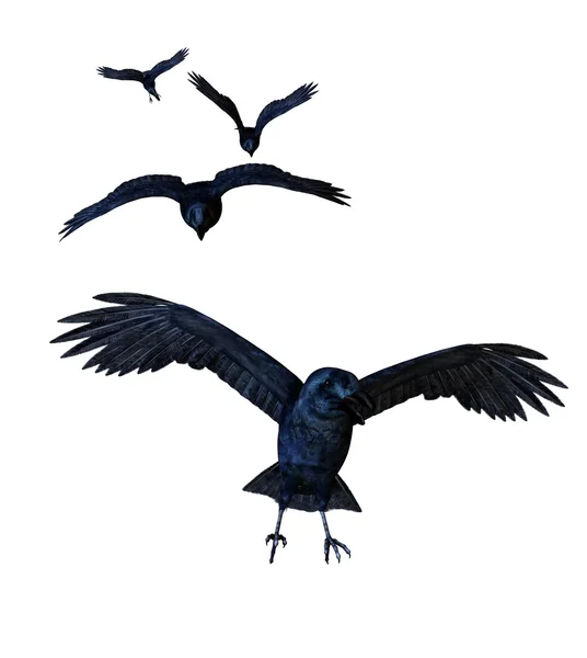 ᐈ Crows flying stock images, Royalty Free crow flying pictures ...