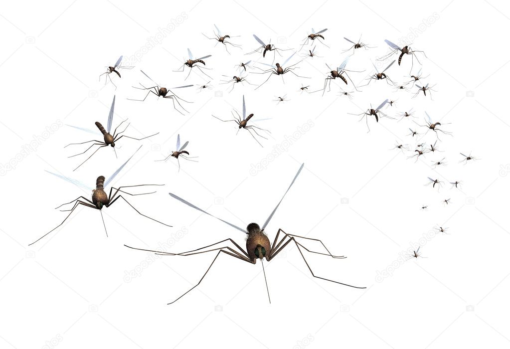 Mosquito Swarm — Stock Photo © AlienCat #8301322