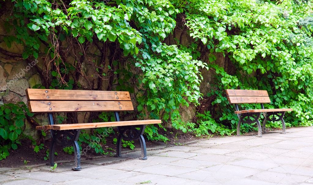 Benches in park — Stock Photo © mexrix #8909890