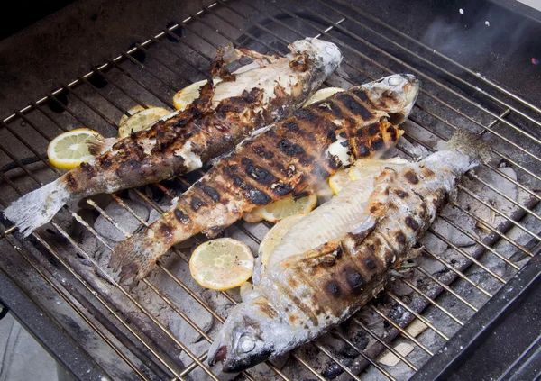 Fish on grill - Stock Image - Everypixel