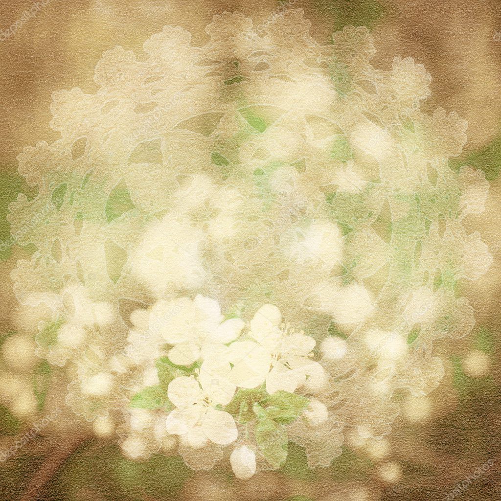 Designed paper background — Stock Photo © Taigi #9192531