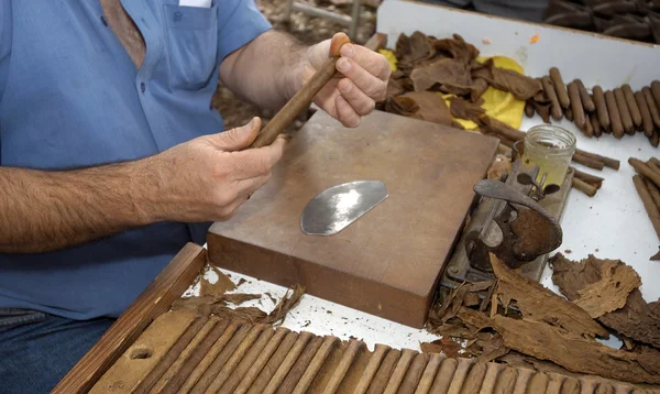 Cigar making Stock Photos, Royalty Free Cigar making Images | Depositphotos