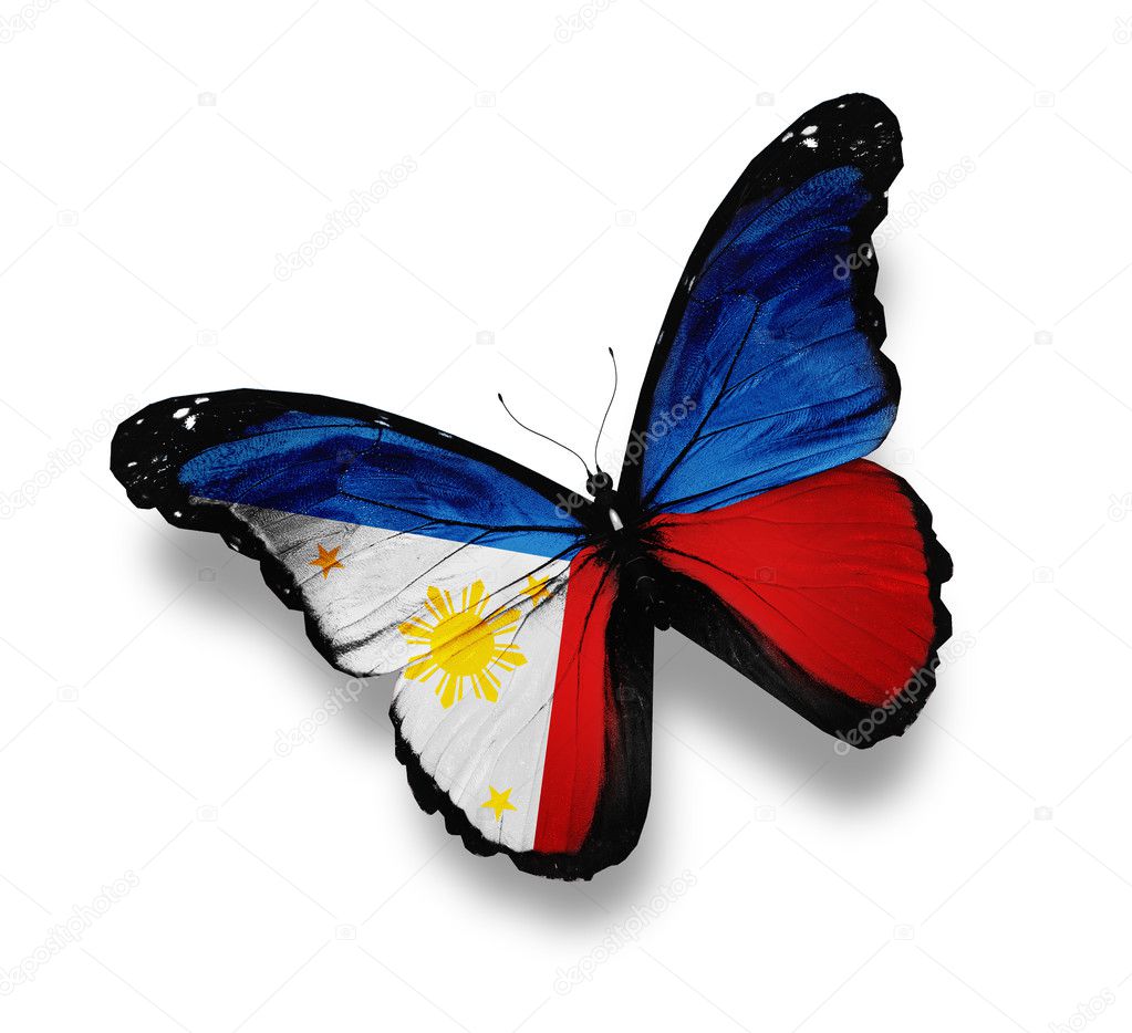 Philippine flag butterfly, isolated on white — Stock Photo © sun_tiger ...