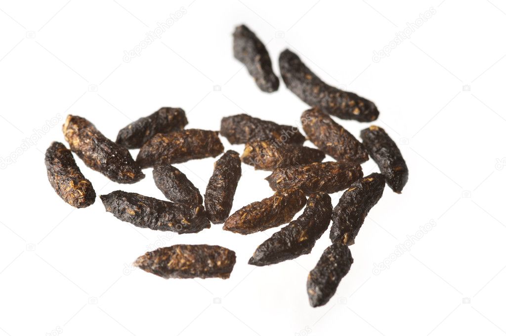 Palline di cacca di topo — Foto Stock © karidesign #8992499