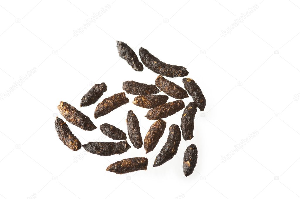 Poo pellets from mouse — Stock Photo © karidesign #8992517