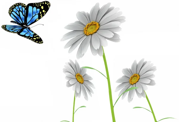Butterfly and daisy Stock Photo by ©3DDock 8497518