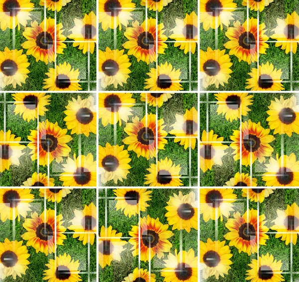 Sunflower pattern Pictures, Sunflower pattern Stock Photos & Images ...