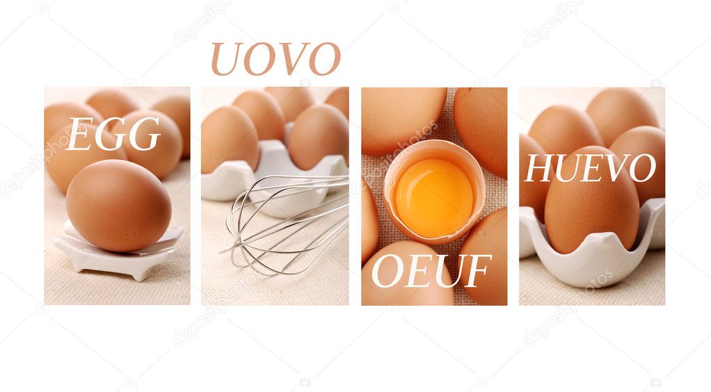 Egg in four languages — Stock Photo © al1962 #10227014