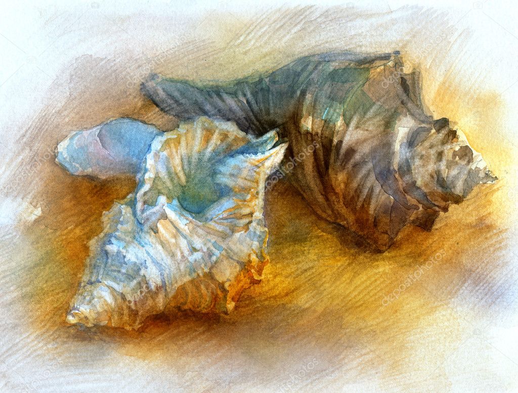 Seashells watercolor — Stock Photo © vic02dd13 #8822876