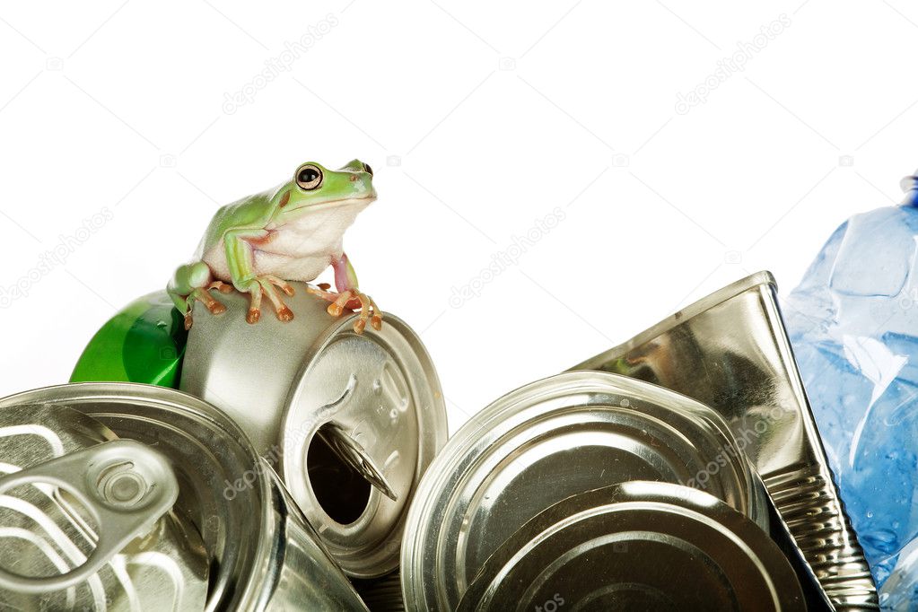 Recycling frog Stock Photo by ©Klanneke 9139785