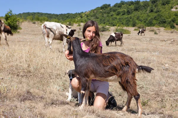 Child lamb Pictures, Child lamb Stock Photos & Images | Depositphotos®