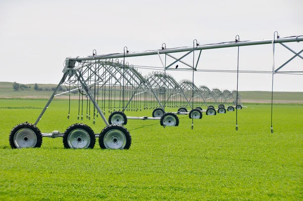 Automated Farming Irrigation Sprinklers System in Operation — Stock ...
