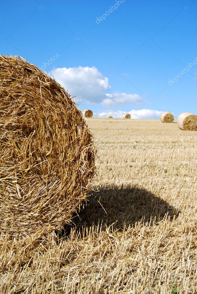 Close photo of a hay bail — Stock Photo © plampy #9014708