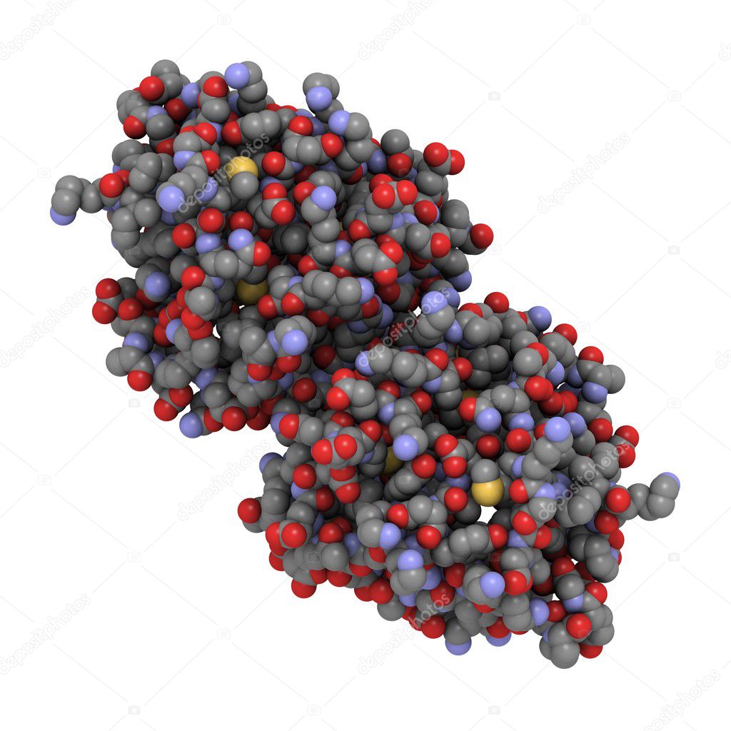 Bovine beta-lactoglobulin — Stock Photo © molekuul #10632909