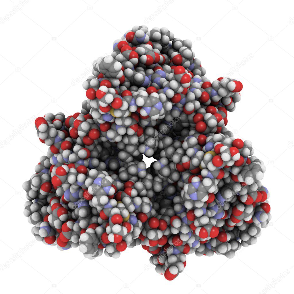 Human Leptin hormone molecule — Stock Photo © molekuul #10632953