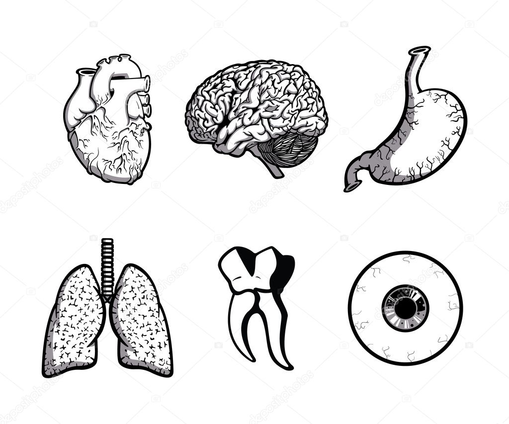 Vector Cartoon Body Parts (One Color) Stock Vector Image by ©JRMurray76 ...