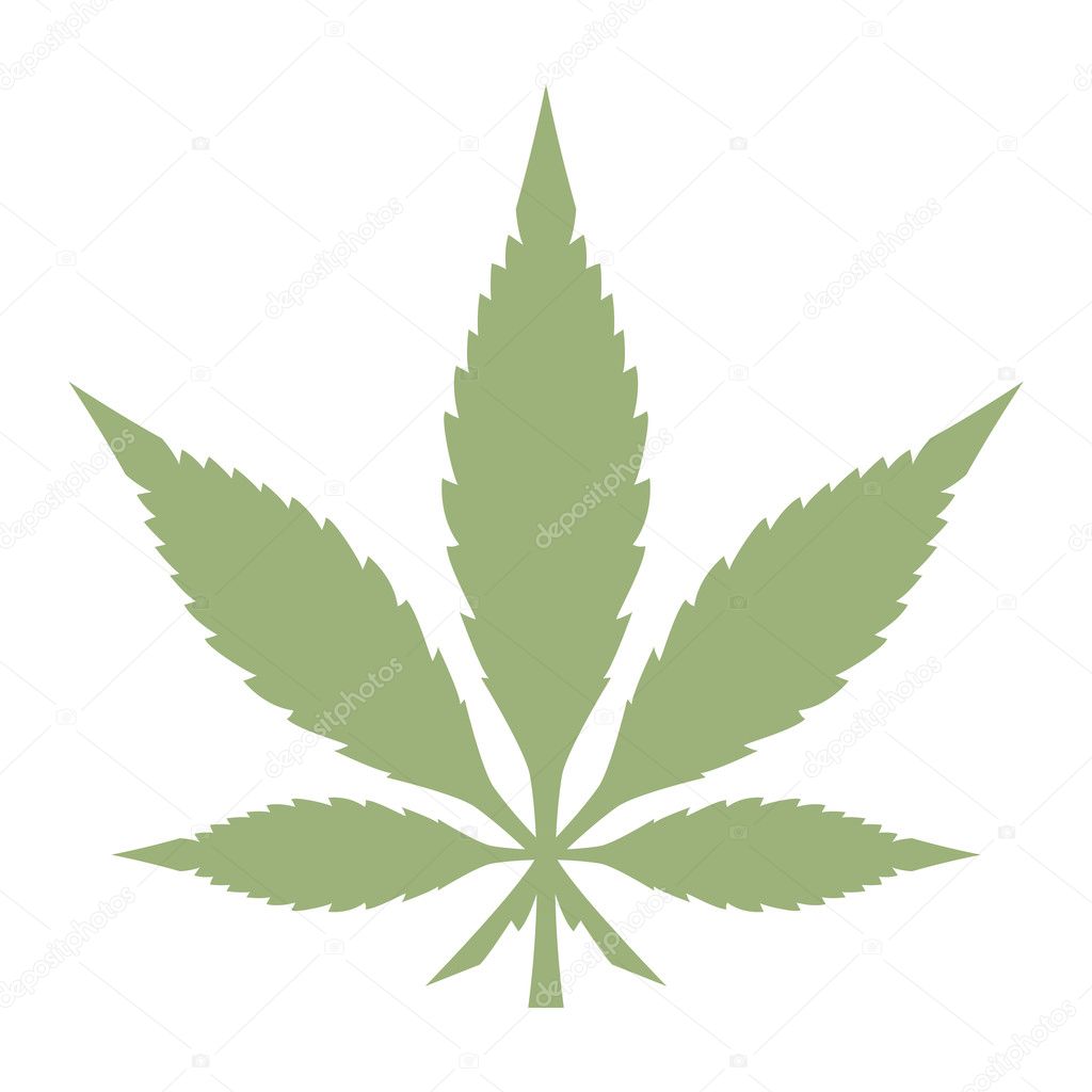Cannabis Leaf Vector