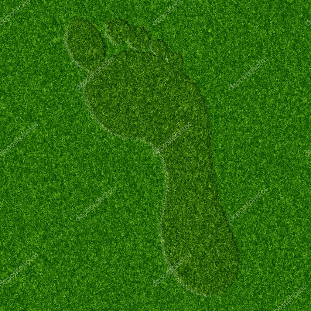 Grass Footprint — Stock Photo © brunoil #9170558
