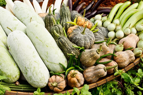 Group of tropical vegetables Stock Photo by ©Surabky 10046492