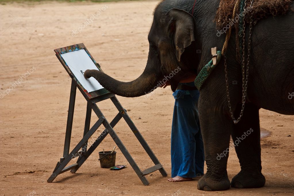 Daily elephant show — Stock Photo © Surabky #10050349