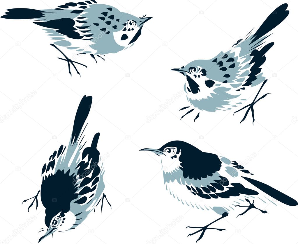 Artistic bird illustration Stock Vector Image by ©pauljune #10071516