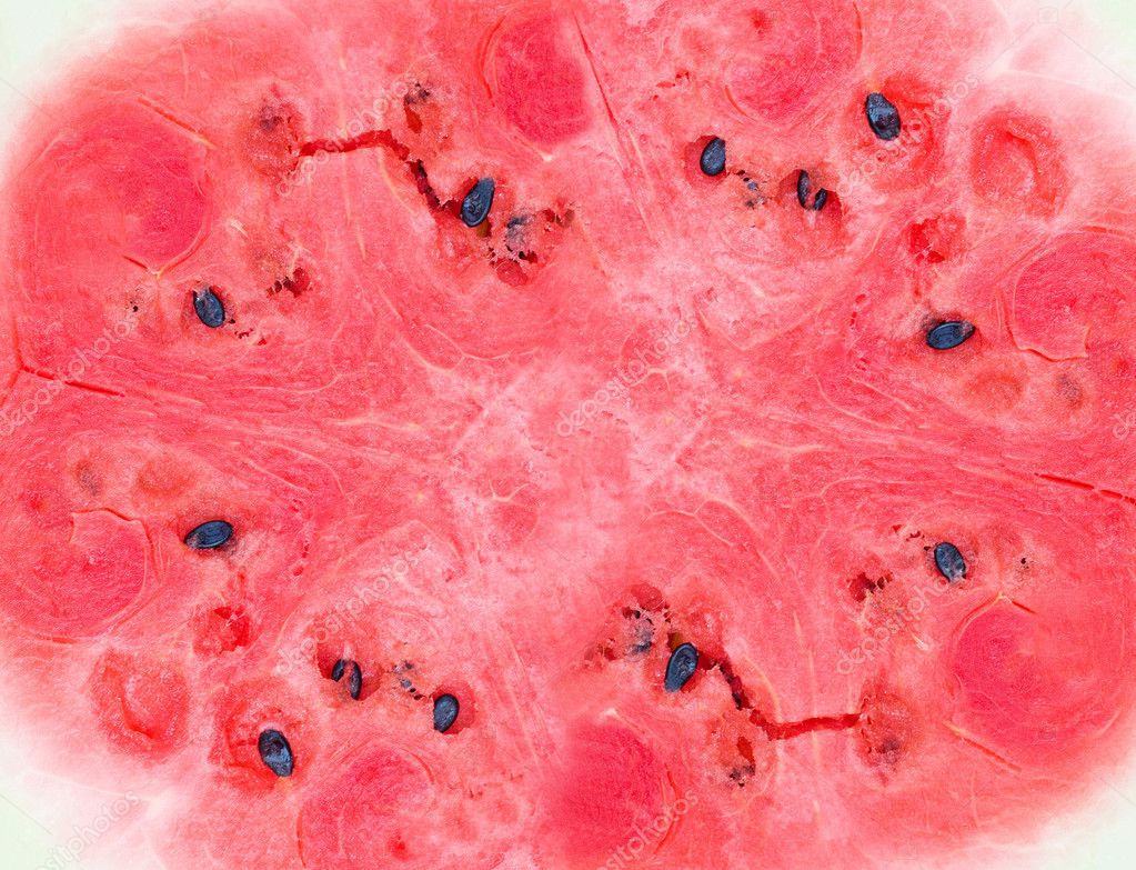 Fondos de sandía 2024