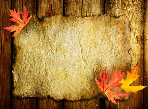 Autumn Leaves on the Old Paper sheet — Stock Photo #10676429 - Stock ...
