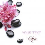 Manicure and Hands Spa. Stock Photo by ©Subbotina 48639757