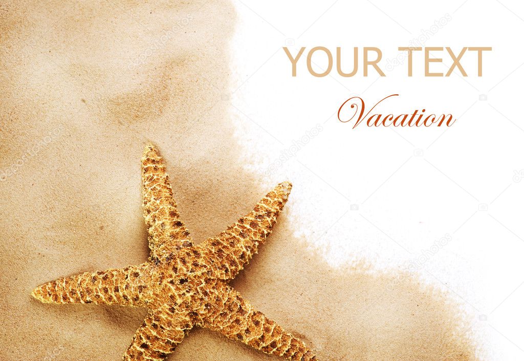 Starfish On The Sand Border Design. Isolated On White. Vacation — Stock ...