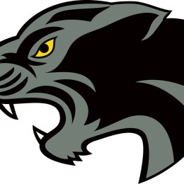 3,409 Black panther Vector Images | Depositphotos