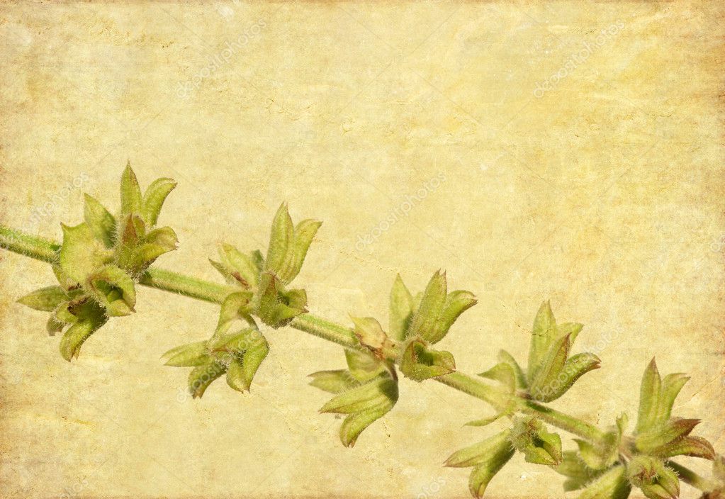Lovely background image with earthy texture and floral elements. useful ...