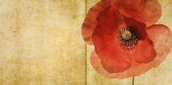 Lovely background image with floral elements. useful design element ...