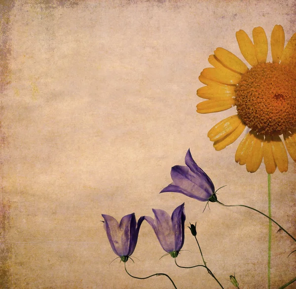 Earthy floral background Stock Photo by ©anjalilikespeppersauce 31241059