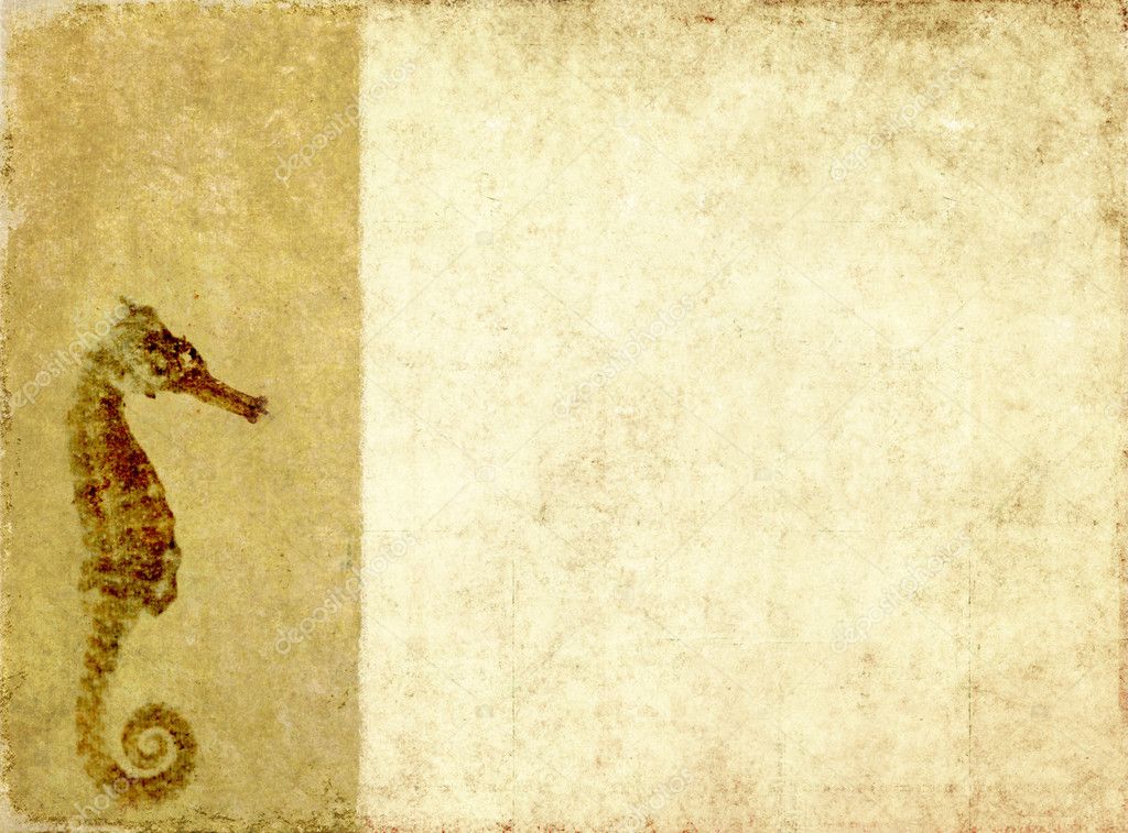 Brown background image with interesting texture, close-up of a sea ...