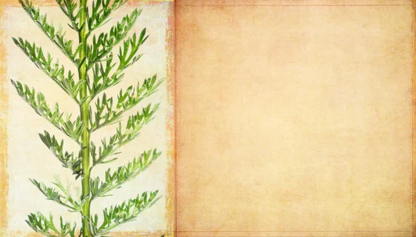 Lovely background image with floral elements. useful design element ...