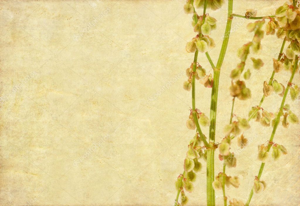 Lovely background image with floral elements. very useful design ...