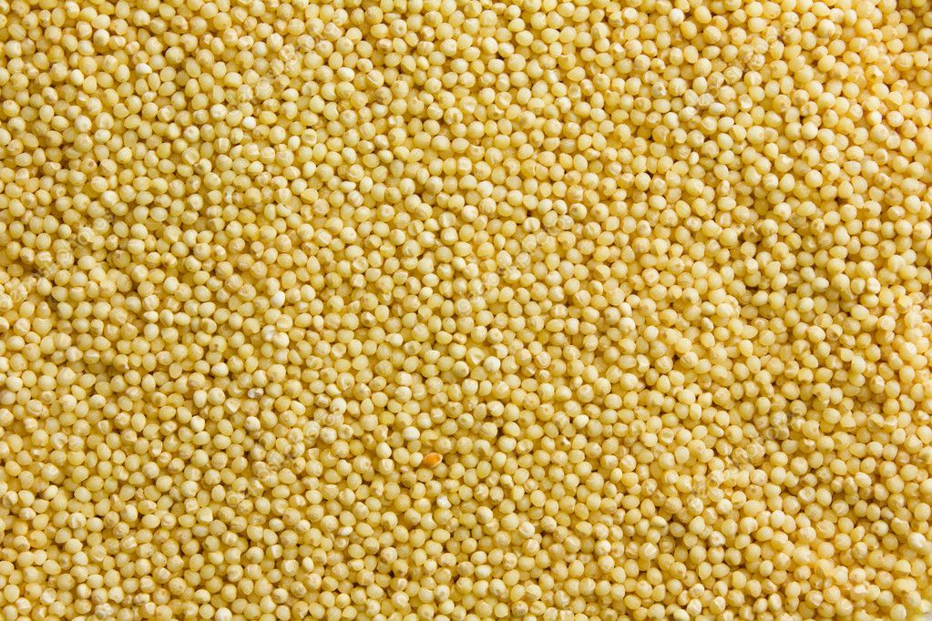 Dry Uncooked Millet Texture, Background — Stock Photo © Quagmire #10484005