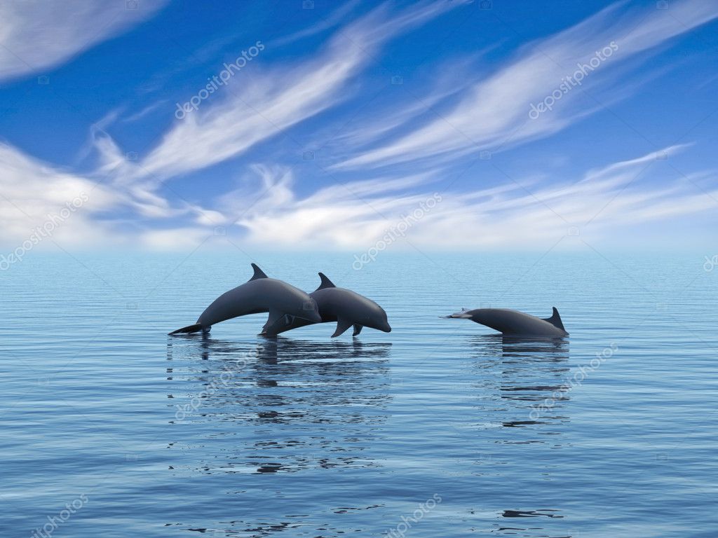 Three dolphins floating at ocean. — Stock Photo © megastorm #10011480