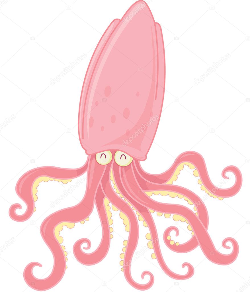 Pink squid Stock Vector Image by ©interactimages #10273788