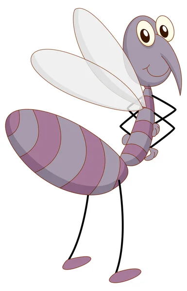 Moustique ennuyeux Vector Art Stock Images | Depositphotos