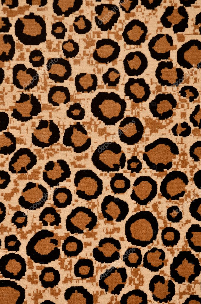Leopard Print — Stock Photo © slickspics #10027780