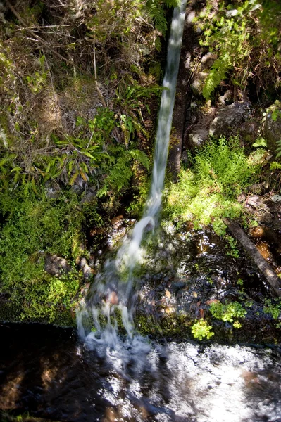 Cascading springs Stock Photos, Royalty Free Cascading springs Images ...