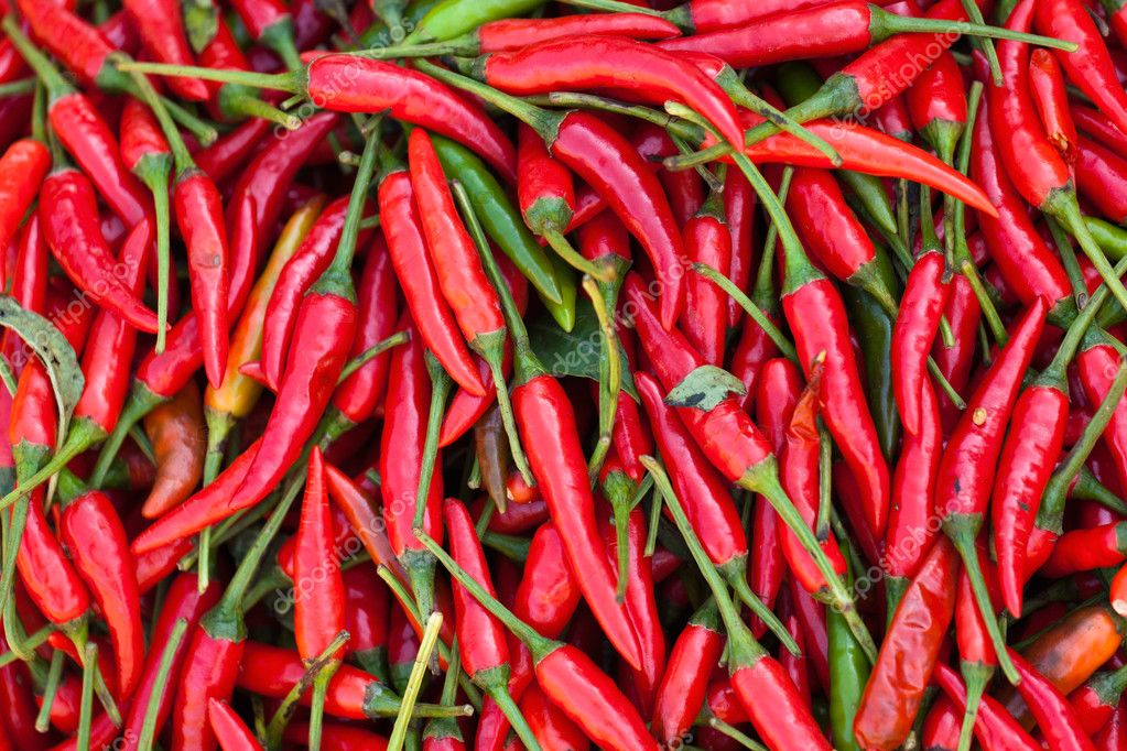 Red chillies — Stock Photo © stilfoto #10187522