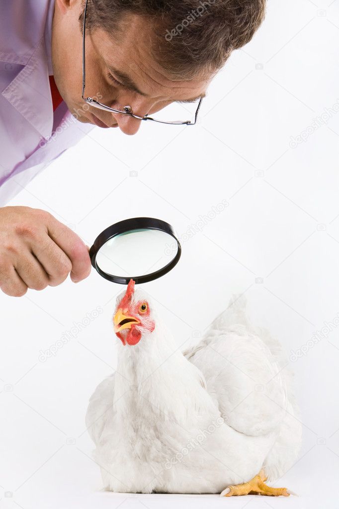 Detective — Stock Photo © pressmaster #10718426